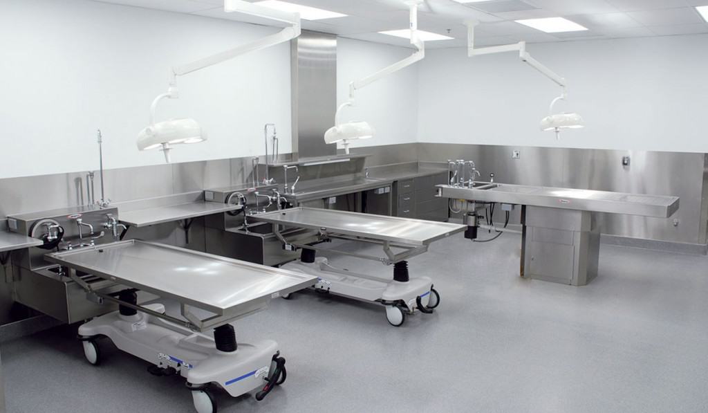 Pathology, Histology, Mortuary, Necropsy Products