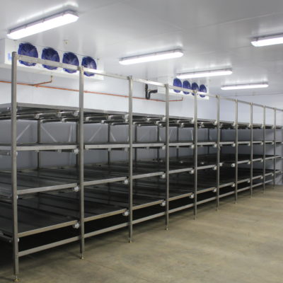 Cadaver Storage Racks | Mopec