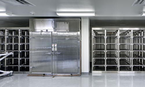 Pathology, Histology, Mortuary, Necropsy Products