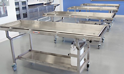 Pathology, Histology, Mortuary, Necropsy Products