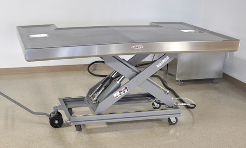 Pathology, Histology, Mortuary, Necropsy Products