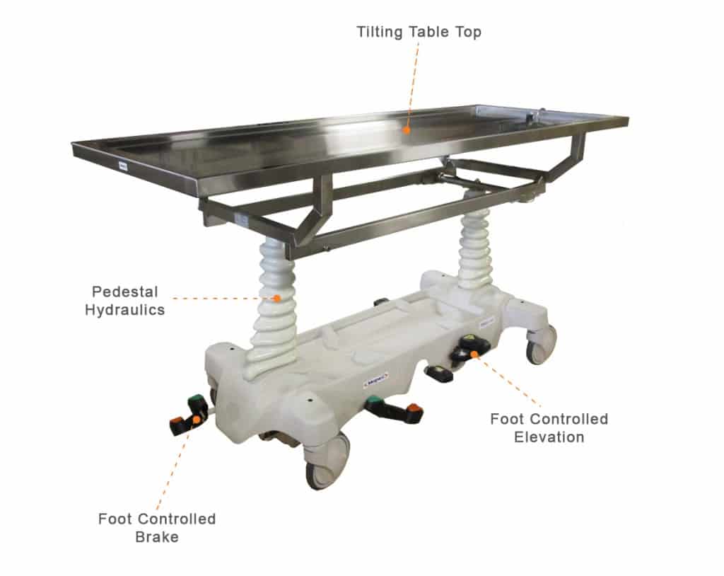 Anatomy Dissection Tables for Schools and Teaching Labs