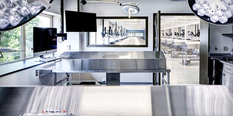 Anatomy Dissection Tables for Schools and Teaching Labs