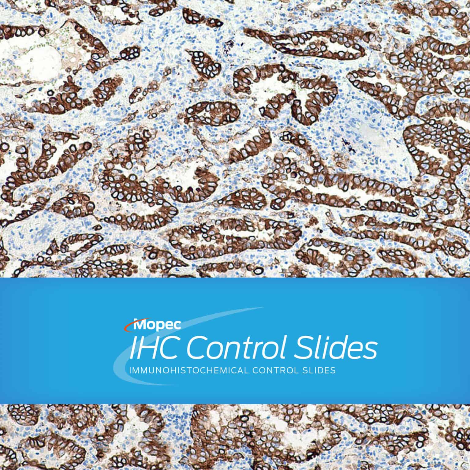 Control Slides | Mopec