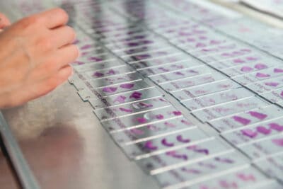 Microscope Slides & Coverslips | Mopec