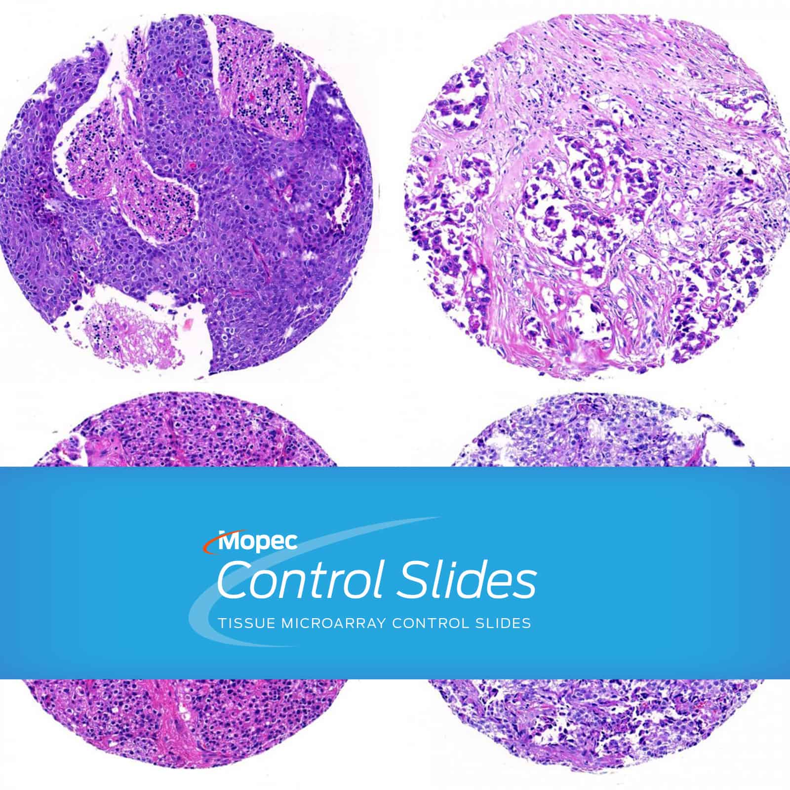 Tissue Microarray Control Slides Mopec