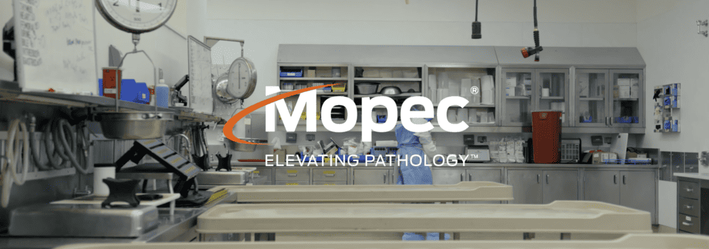 News & Information Blog | Mopec