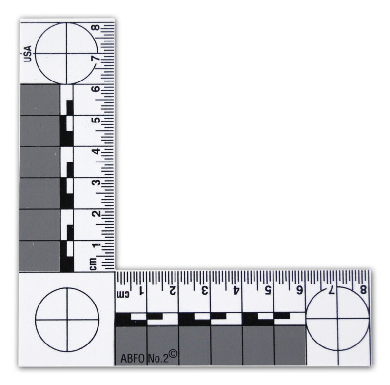 No.2 L-Shaped Photomacrographic Scales | Mopec
